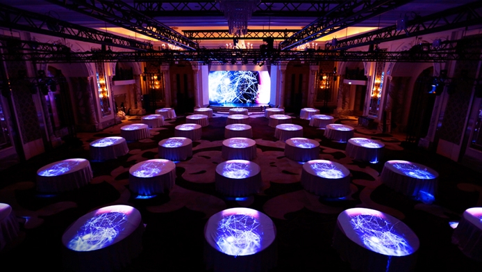 Our Gallery, Video Wall and LED Plasma for Events, Princeav